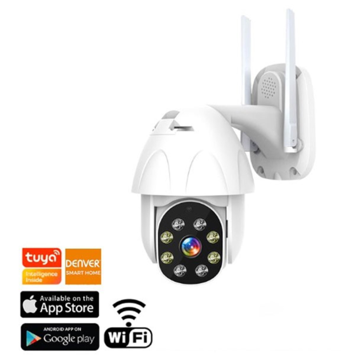 IP camera Wi-Fi Ethernet PAN-TILT Full HD 1080p double night vision
