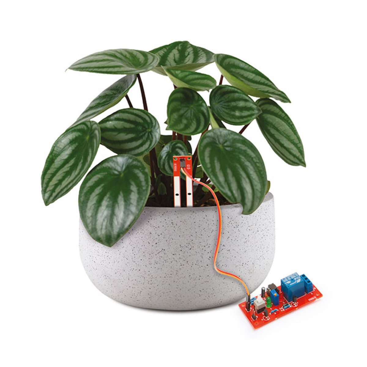 Soil Moisture Sensor KIT with Relay Output